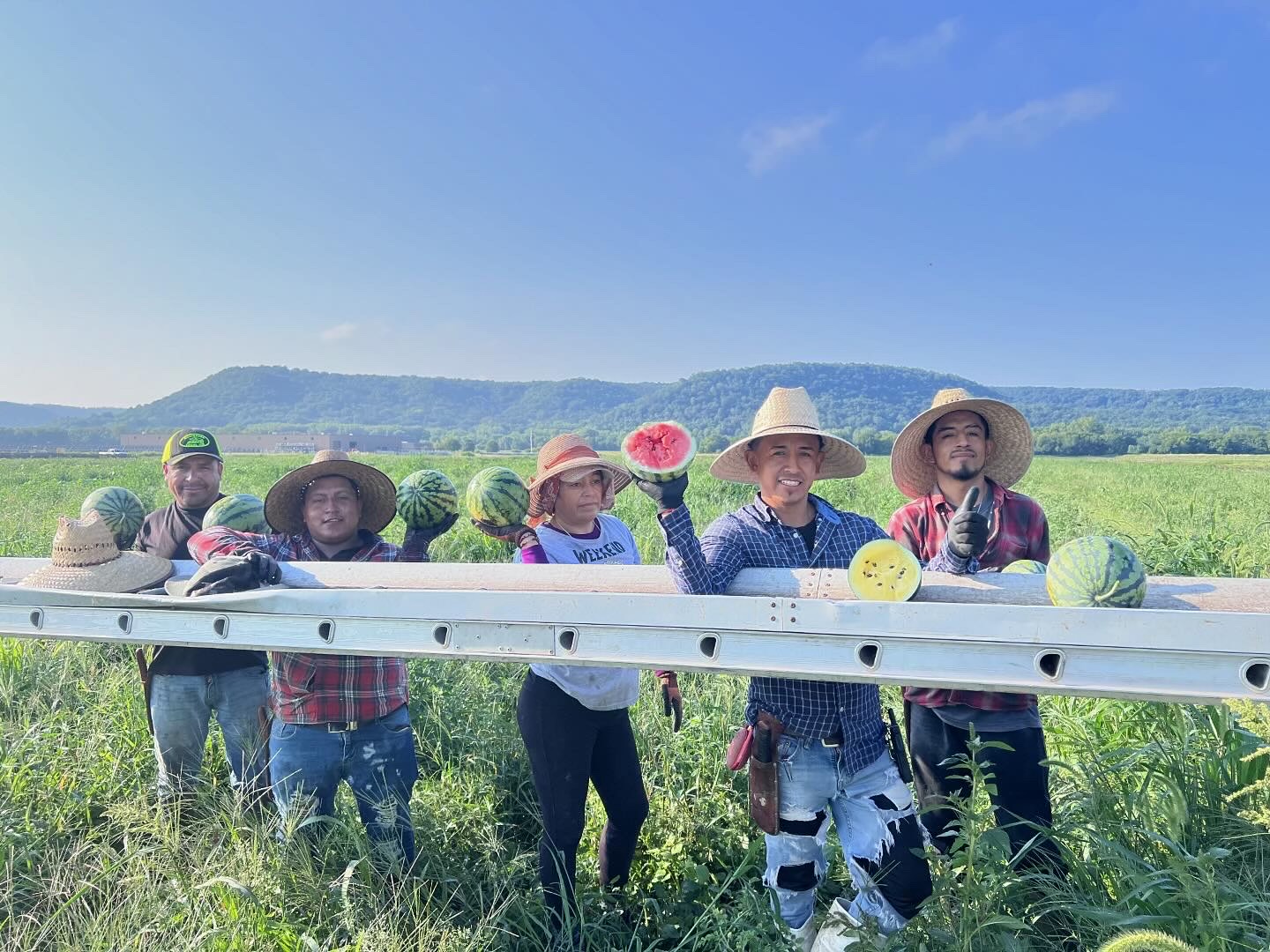 Farmworker Awareness Week - Wedge Community Co-ops